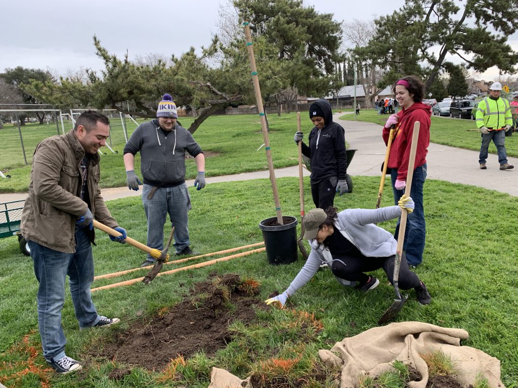 Valley Park Tree Planting | Knighted Neighbors Ourtreach